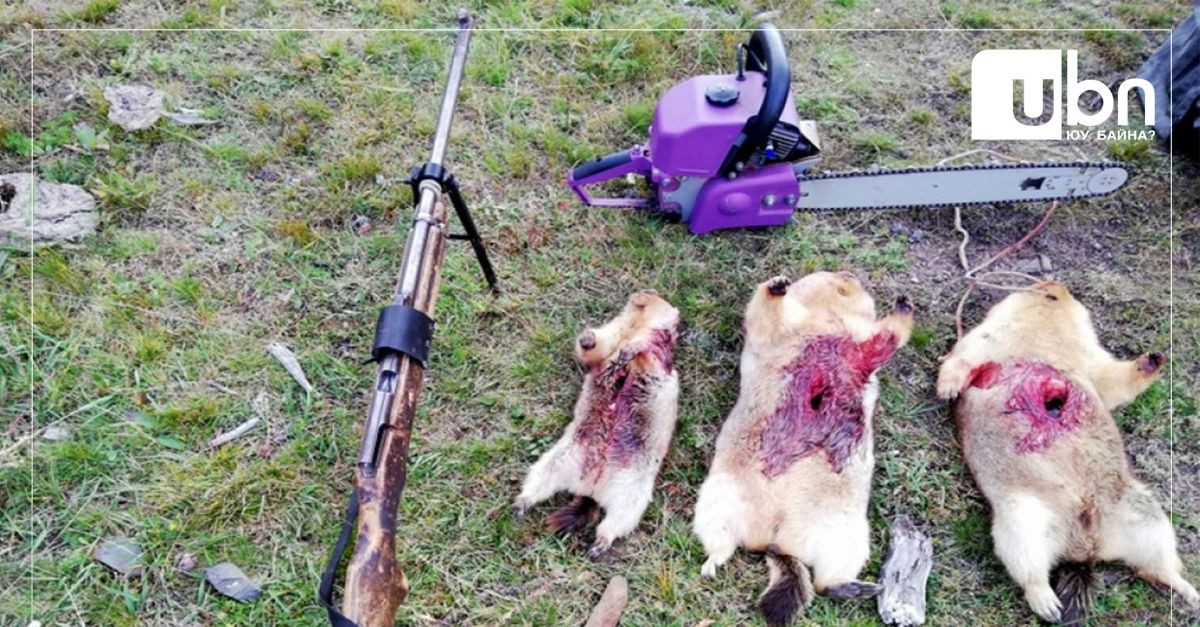 Хууль бусаар ан агнасан бол 1-5 жилийн хорих ял эдлүүлнэ