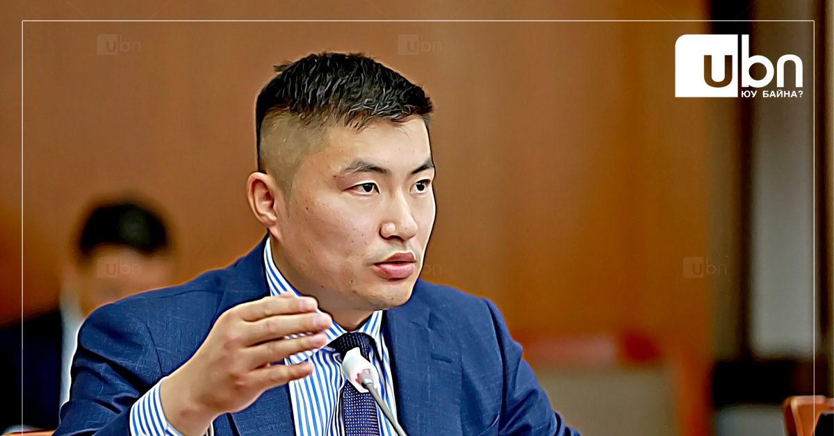 Н.Мандуул: “Эрэл“-ийн төслийг хөдөлгөх гээд захиалагч хүртэл хайж үзсэн ...