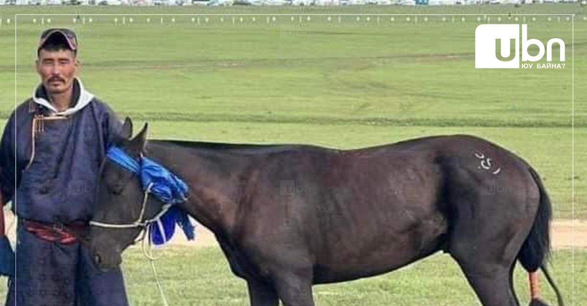 Хар шүдлэнг түрүүлсэн гэж Хурдан морины салбар комисс зарлалаа